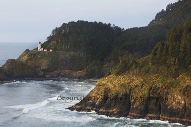 Leading the Way by Terry Gentry – CV Art and Frame